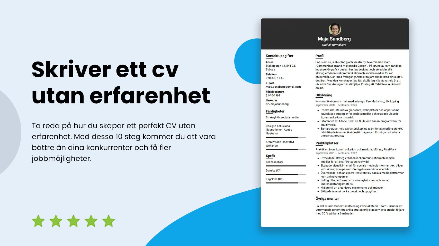 Hur man skriver ett cv utan erfarenhet [+gratis exempel]