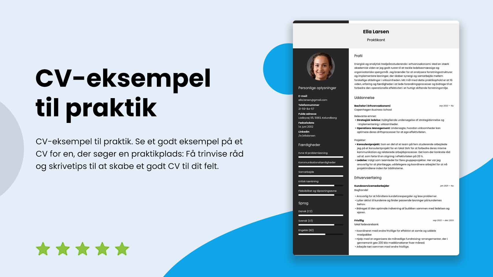 CV-eksempel til praktik: Skrivetips og guide (2024)